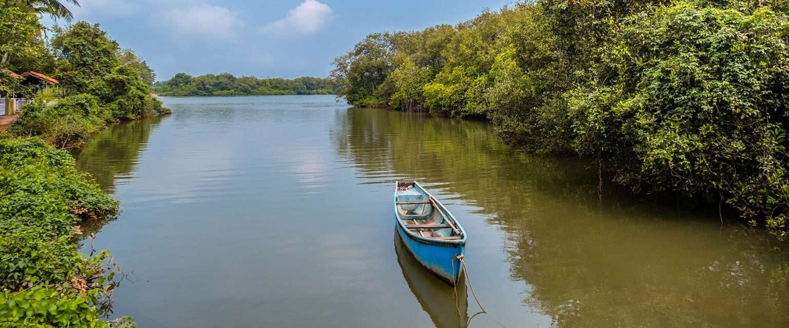 Explore Divar Island, Goa with an experienced local guide