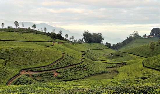 Chandor in Goa | Chandor Heritage Walking Tour