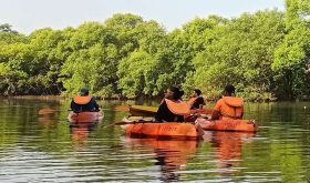 Explore the popular local sights and cultural delights of Saligao!