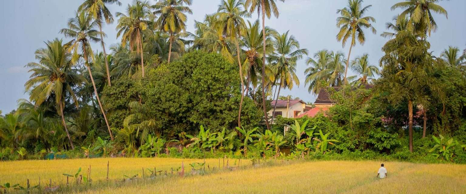 Explore the popular local sights and cultural delights of Saligao!