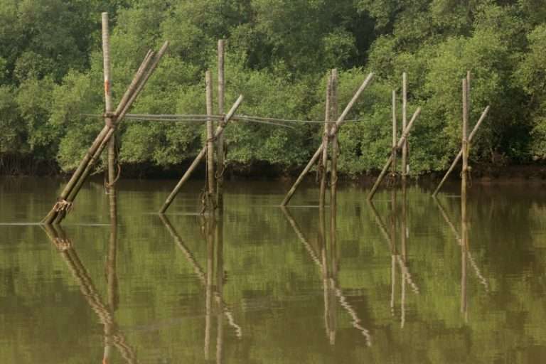Traditional Methods of Fishing in Goa | Make It Happen