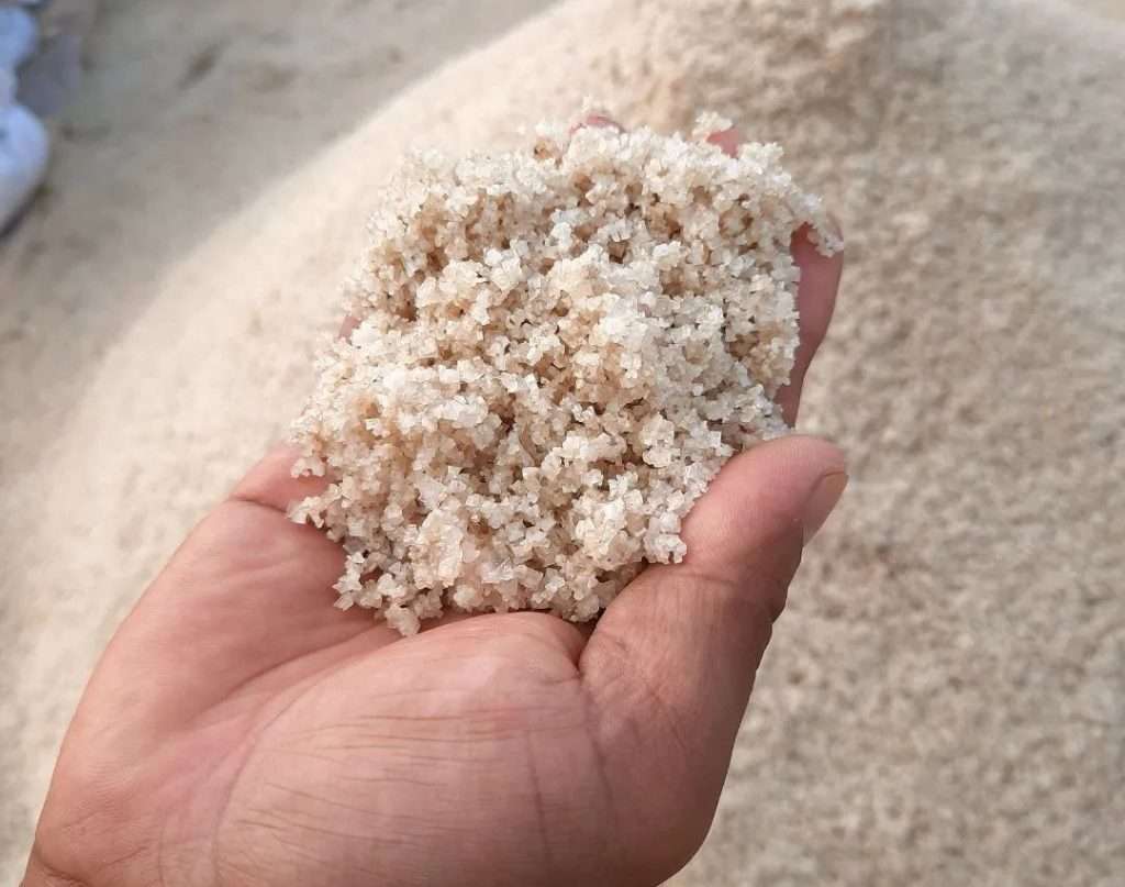 The Dying Salt Pans in Goa | Make It Happen