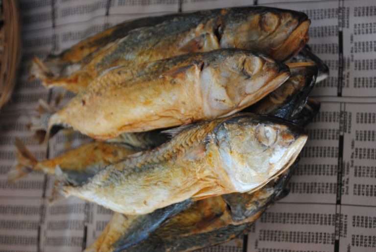 The Dying Salt Pans in Goa | Make It Happen