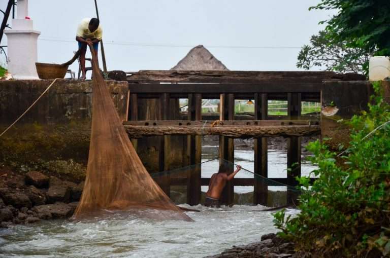Traditional Methods of Fishing in Goa | Make It Happen