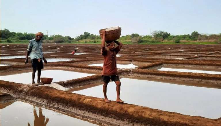 The Dying Salt Pans in Goa | Make It Happen