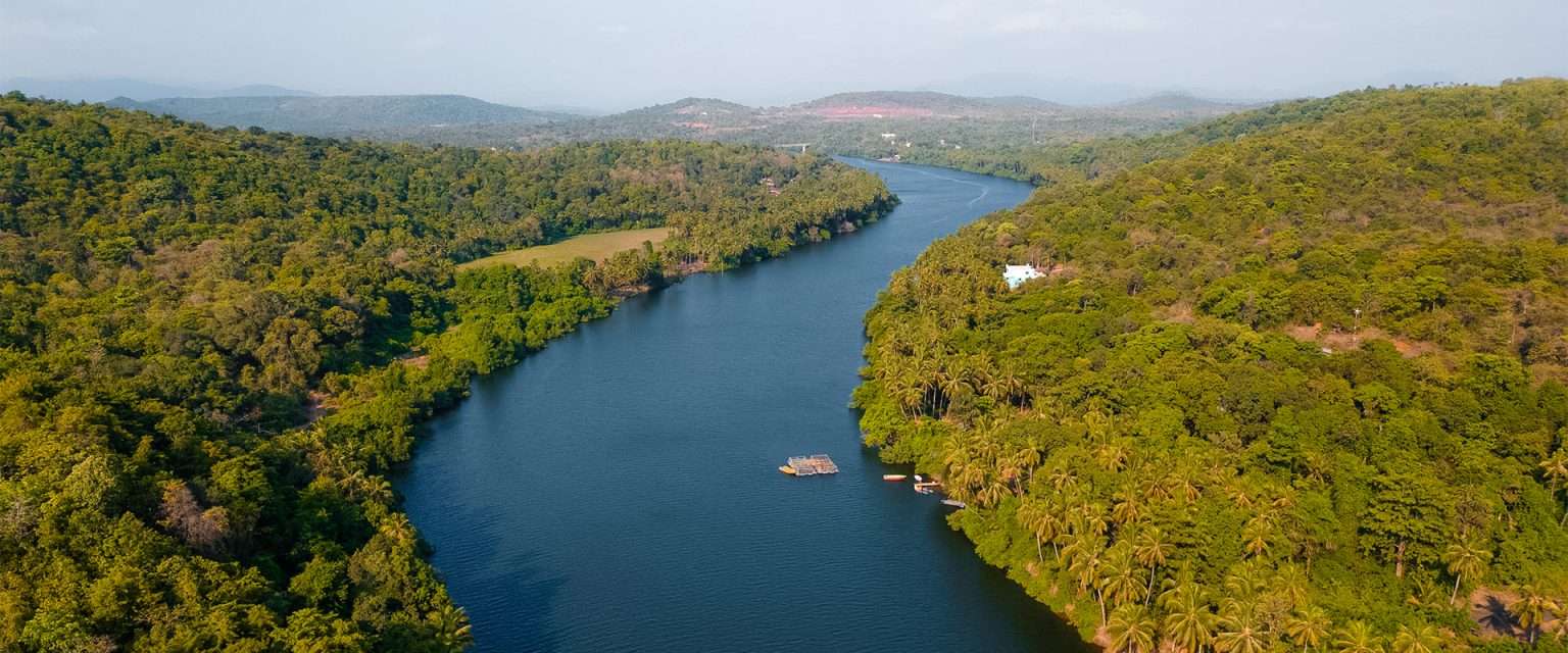 Backwater Kayaking Experience - Make It Happen