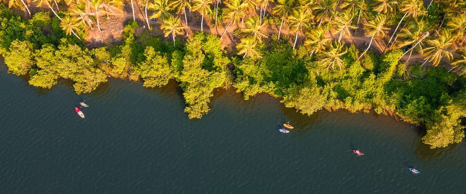 Backwater Kayaking Experience - Make It Happen