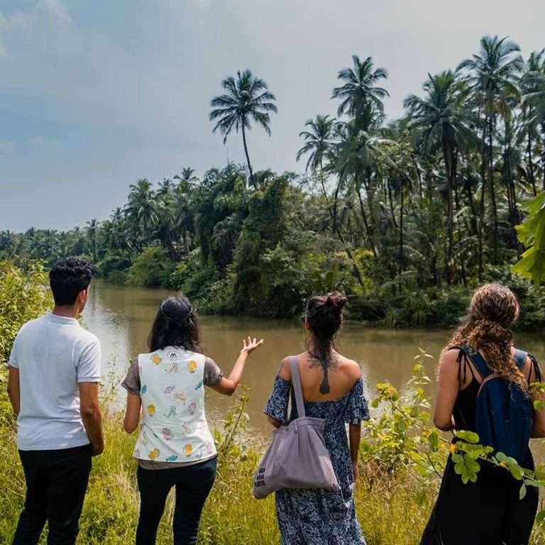 Places to Visit in South Goa - Make It Happen