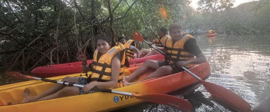Mangrove Kayaking and boating experience - Make It Happen