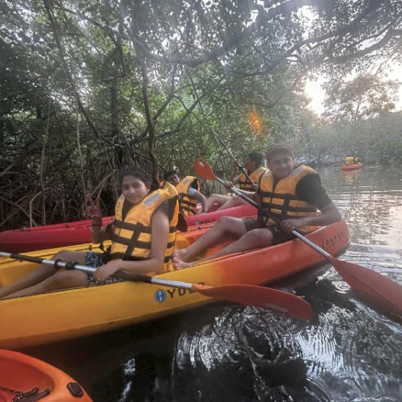 Mangrove Kayaking and boating experience - Make It Happen